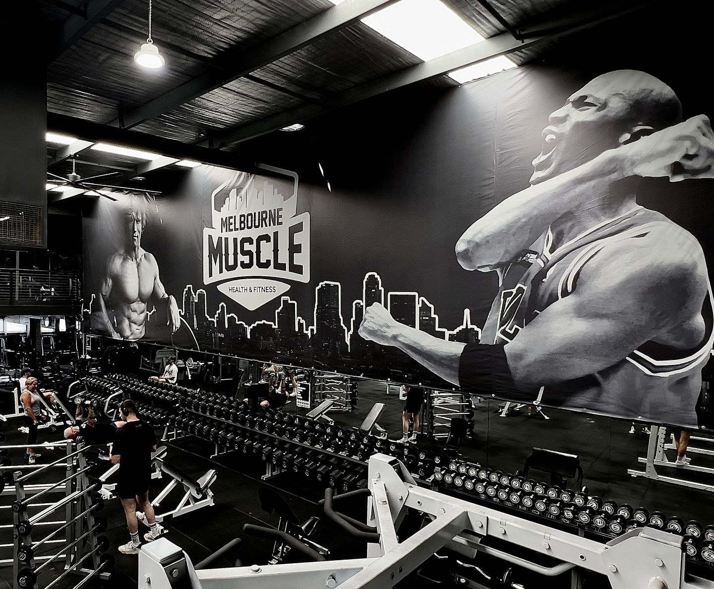 Melbourne Muscle - Health & Fitness Gym
